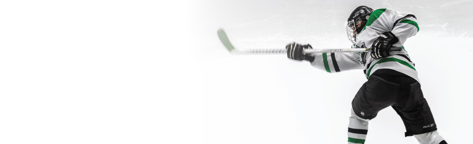 HOCKEY - Canadian Ice Academy